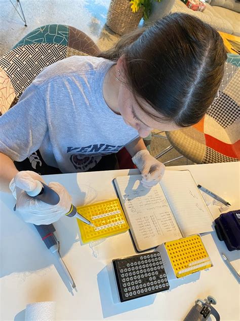 Marine Biosecurity Toolbox Equips Curious Minds Project To Ignite