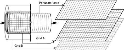 Schematic Representation Of The Typical In Silico Hepatic Sinusoid