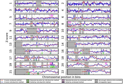 The Autosomal Cnv Analysis Mapping Of Patient No 32 In Table 1 A