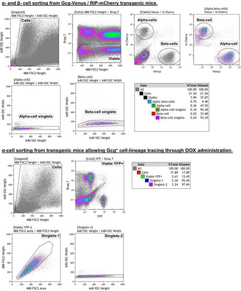 Facs Sorting Gating Strategy Used For Facs Sorting The Different Islet