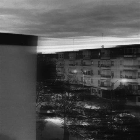 Hasta La Vida Luna Pythonissam