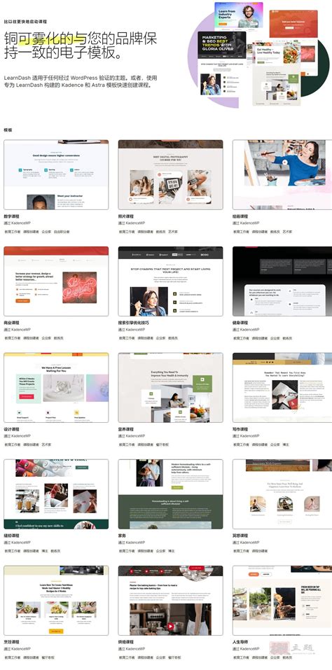 learndash lms汉化中文版 教育培训学习管理系统wordpress插件介绍 搬主题