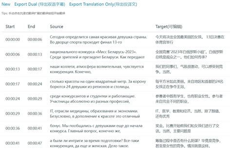 俄语视频翻译成中文字幕【教程】 哔哩哔哩