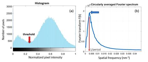 histogram of the pixel intensities of a typical top down sem micrograph