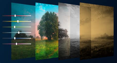 矢量图怎么改颜色 矢量图怎么导出 Coreldraw中文网站