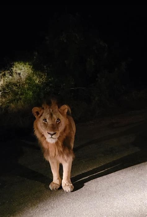 Stringy Mess Print Came Out Perfect But This Was All Over It R 3dprinting