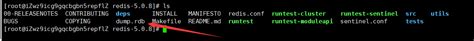 redis之 rdb文件操作 dump rdb可以删除吗 csdn博客