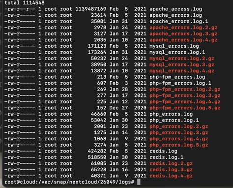 Client Crashes When Syncing Files Issue Nextcloud Desktop GitHub