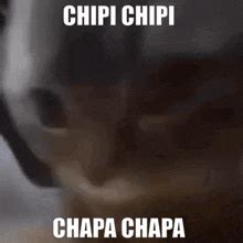 Chipi Chipi Chapa Chapa GIF Chipi Chipi Chapa Chapa Cat Discover Share GIFs