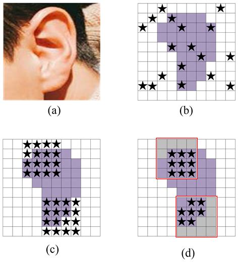 Anti Software Attack Ear Identification System Using Deep Feature Learning And Blockchain Protection