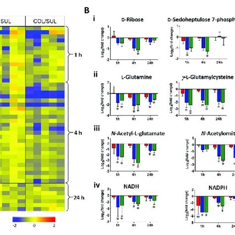clustered heat map profiles of the relative abundance for