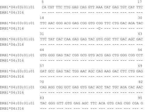 alignment of the exon 2 of the hla‐drb1 04 316 allele compared with the