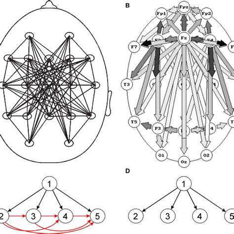Comparison Of Bivariate And Multivariate Connectivity Measures Top Download Scientific Diagram
