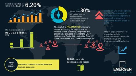 Microbial Fermentation Technology Market Size Share Trend Analysis By 2033