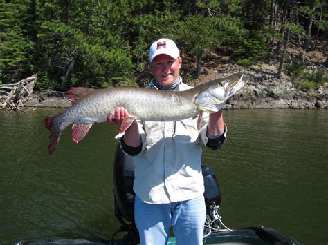 Eagle Lake Muskie Fishing South Shore Lodge