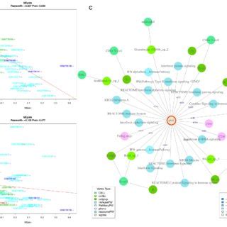 WGCNA Module Structure A Correlation Matrix Of All Probes In The Download Scientific Diagram