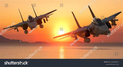 80 Grumman F 14 Tomcat 이미지 스톡 사진 및 벡터 Shutterstock