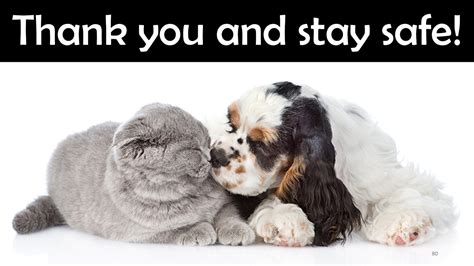 41 Types Of Alters In Dissociative Identity Disorder A Etsy