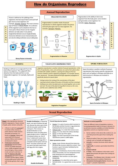 Chapter 8 HOW DO Organisms Reproduce 56d9f737 824d 40e7 B923 99ad0df5f577 Sexual
