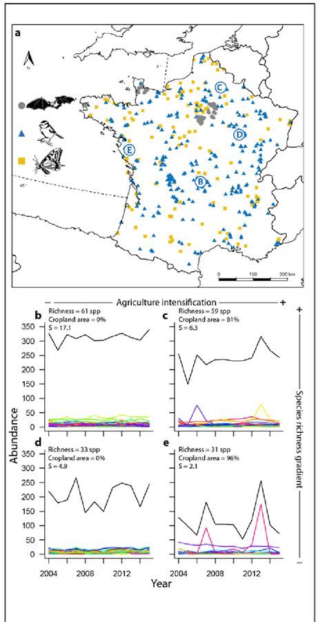 Datasets A Spatial Distribution Of The Monitored Bat Bird And