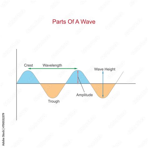 vetor de waves consist of crests and troughs representing the highest
