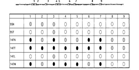 Methylation Within The Cpg Island In The Htert Gene Promoter Pcr Download Scientific Diagram