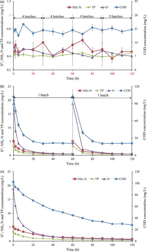 Operation Performances Of Three Simulating Processes A The Pepec Download Scientific