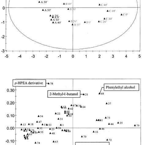 score and loading plots of the first two principal components of the