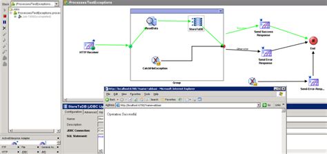 Tibco Exception Handling Tutorial How To Handle Exceptions