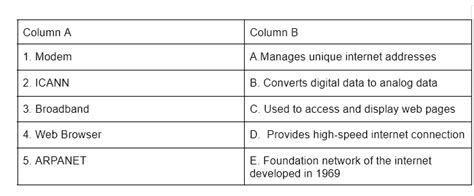 Worksheet Internet Basics Computer Application Class 10 Pdf Download