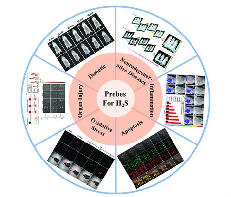 H 2 S Based Small Organic Fluorescent Probes For Imaging And Diagnosis Download Scientific