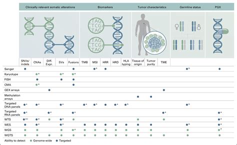 Implementation Of Whole Genome And Transcriptome Sequencing Into Clinical Cancer Care Jco