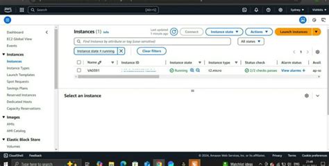 created the ec2 instance getting started with devops aws vishnu