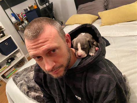 Demystifying Dolcy The Echo