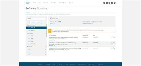 Cisco SD WAN EVE NG Lab Installation Cisco SD WAN EVE NG Lab Installation