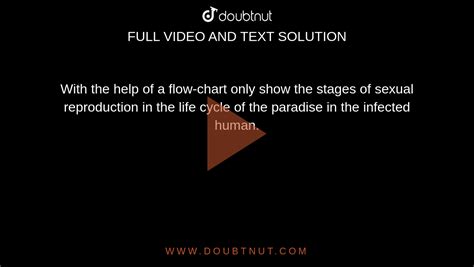 With The Help Of A Flow Chart Only Show The Stages Of Sexual Reproduct