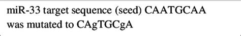 6 Expression Vector Pgl3 Control With Cloned Pim 1 3´ Utr Mutation