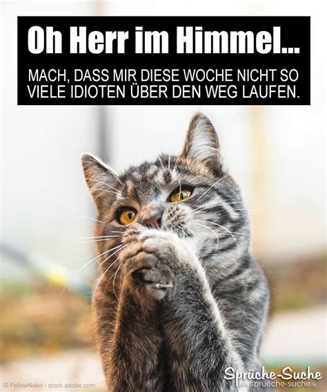 Lustige Tiere Mit Spruch De Spruch