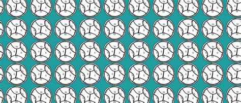 Tiny Shrimp Has A Unique Way Of Organizing Cells During Embryonic