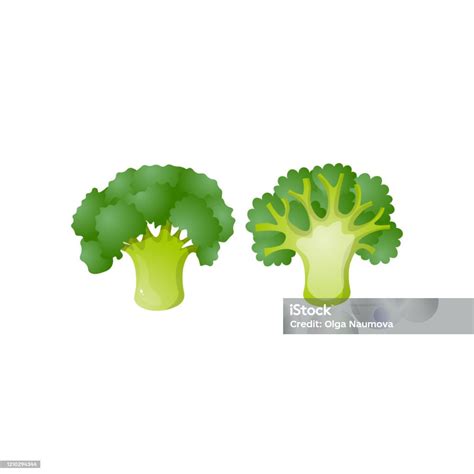 흰색 배경에 격리 된 신선한 녹색 브로콜리 아이콘 브로콜리에 대한 스톡 벡터 아트 및 기타 이미지 브로콜리 일러스트레이션 개념 Istock