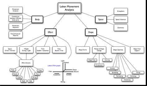 10 Exciting Laban Movement Analysis Lma Exercises For Drama Class
