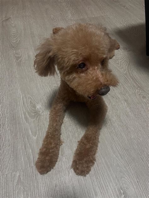 Jandl Sisters Shop 📩 官網 Products E6 Ad