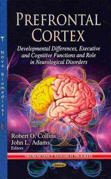 Prefrontal Cortex Developmental Differences Executive And Cognitive Functions And Role In