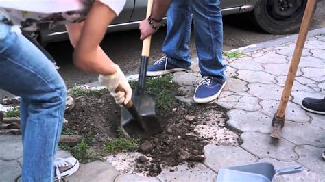 თბილისის გამწვანება Youtube