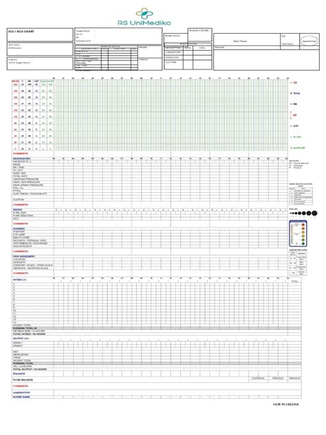 Icu Hcu Chart Pdf