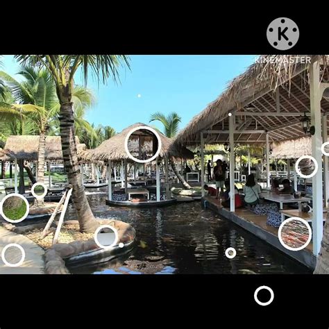 ត្រីក្រហម Youtube