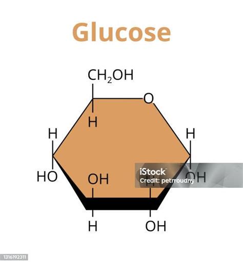 Carbohydrates Diagram Of Molecule