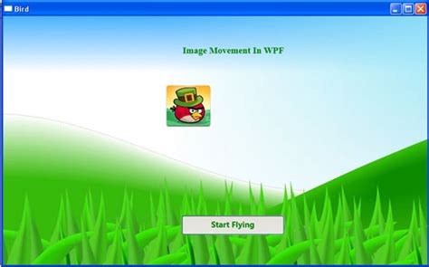 Image Movement In Wpf Using Canvas Panel