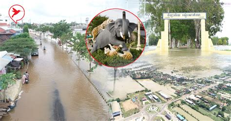 ក្តៅៗ ស្រុកទាំង៧ នៅក្នុងខេត្តកំពង់ធំកំពុងរងជំនន់ទឹកភ្លៀង ធ្វើឱ្យសាលាជាង៥០ បង្ខំចិត្តបិទ