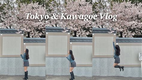 벚꽃보러 일본 여행 🌸 도쿄 근교 가와고에 🇯🇵 친절한 사람들 덕분에 따뜻했던 3박4일 ☺️ Youtube